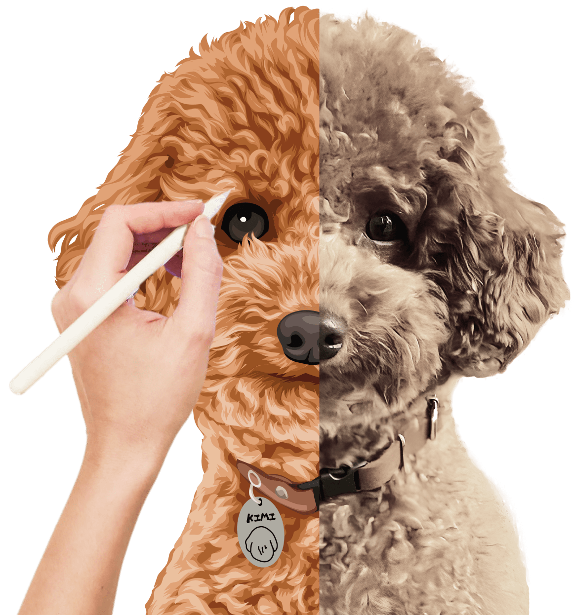 Vector Pet Portrait | Paw Studio Indonesia